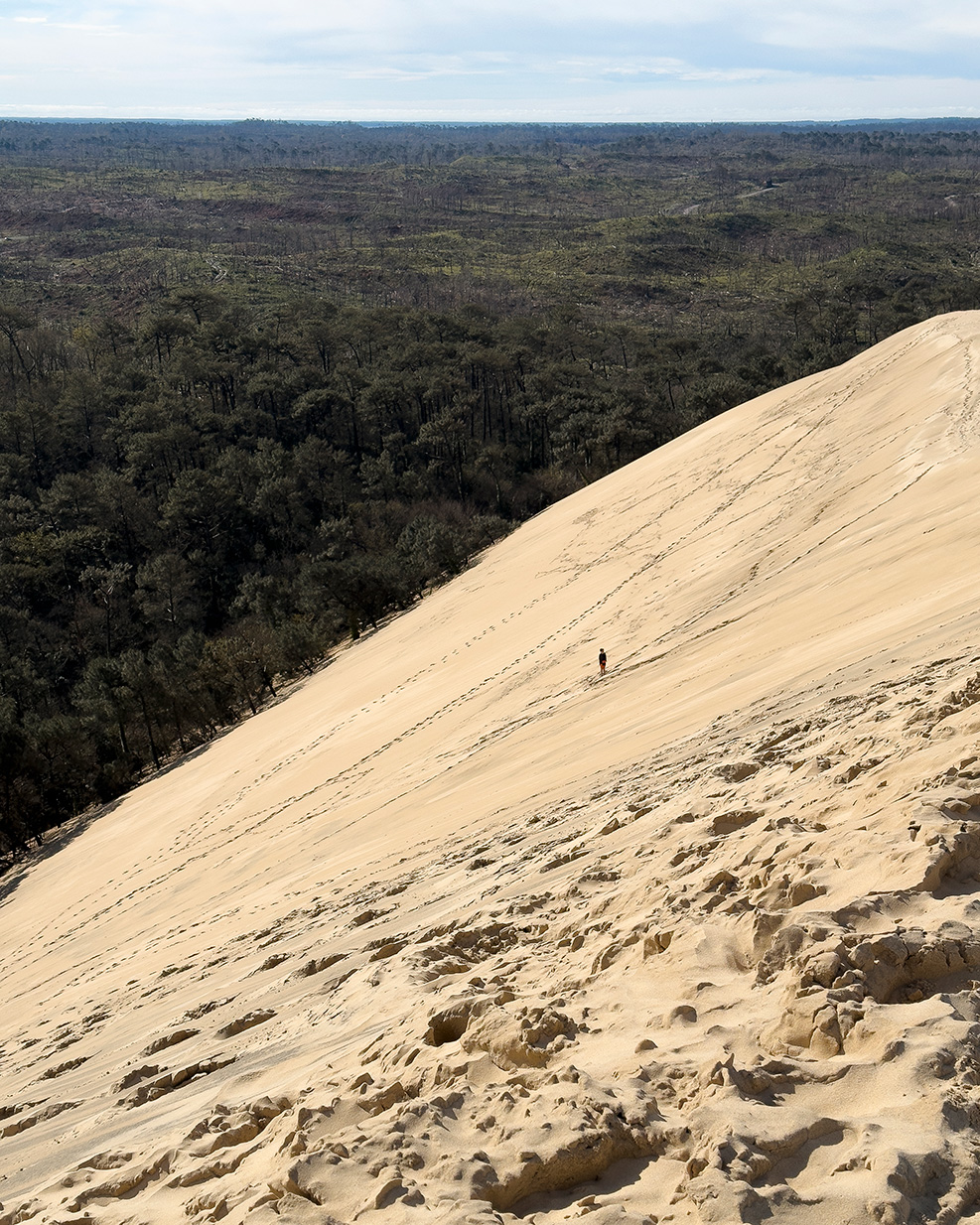 Duna de Pilat de Francia · Guía de viaje a la gran duna de Europa