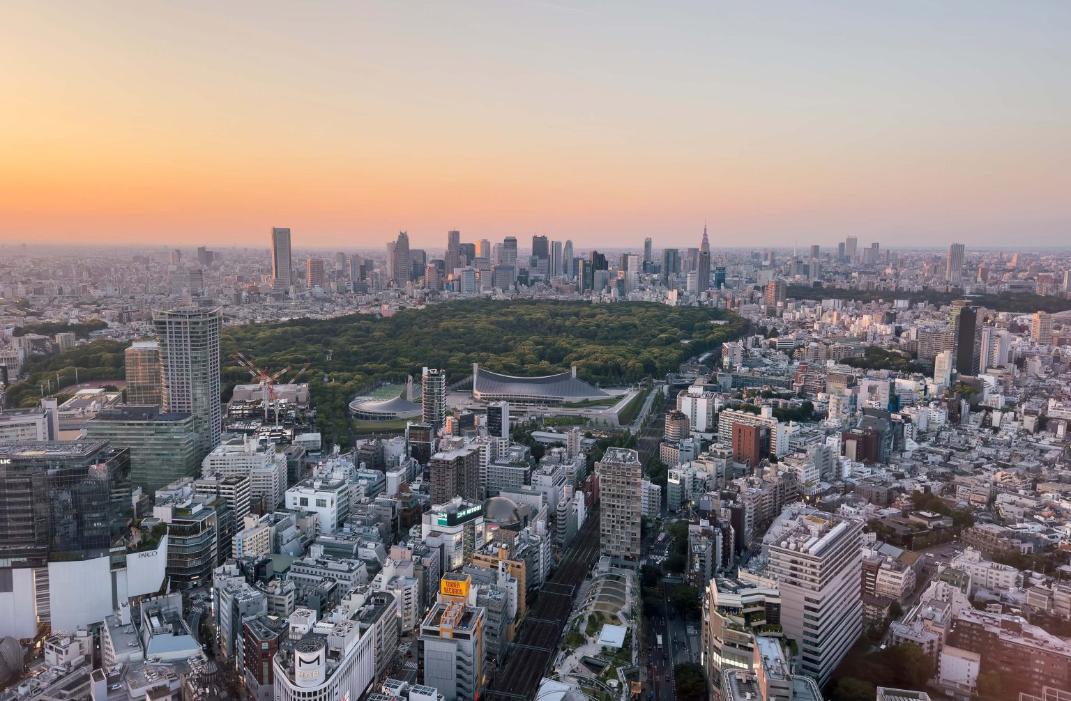 Lo mejor de Tokio en 5 días · Qué ver en la capital de Japón