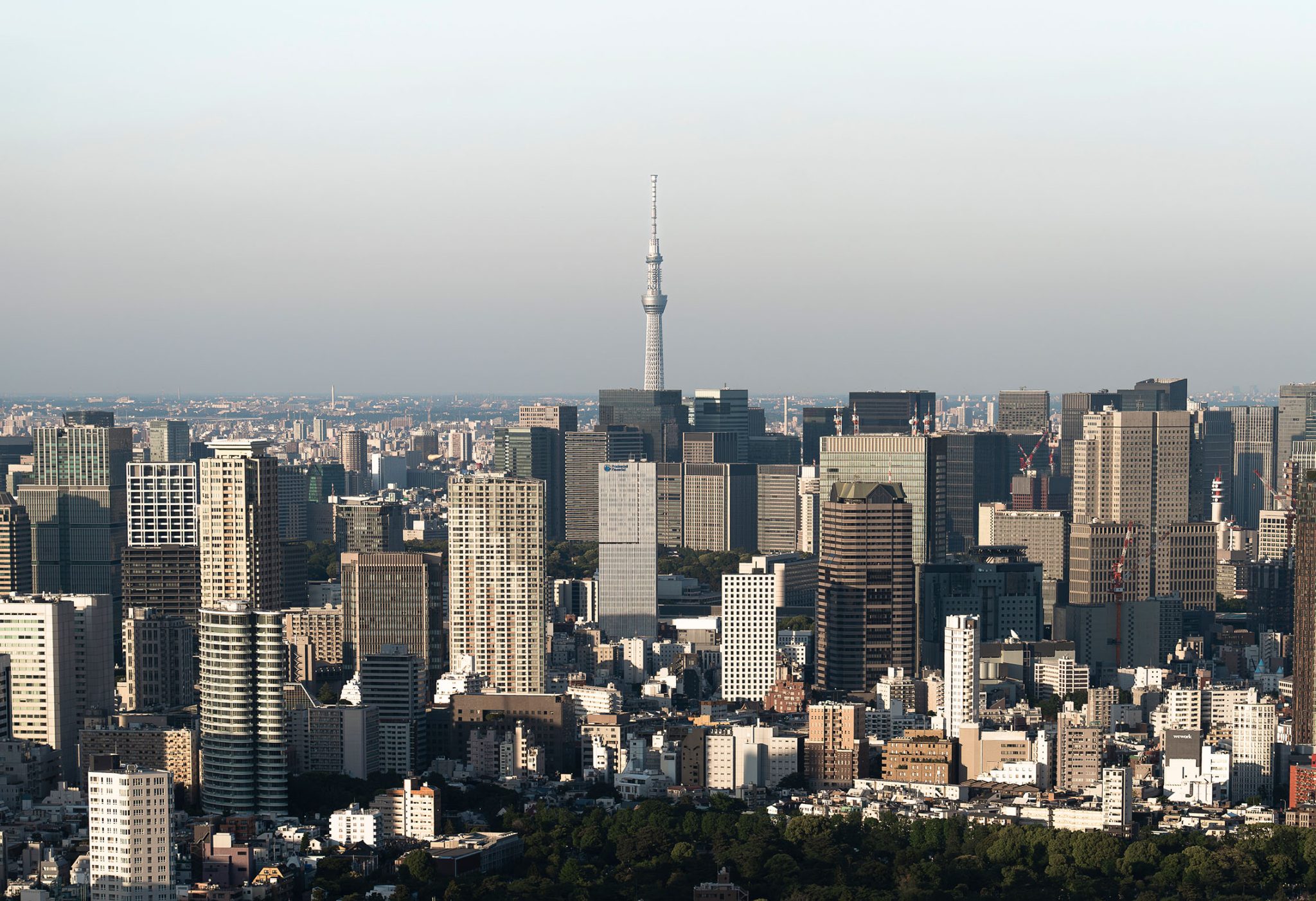 Guía de viaje a Tokio: Toda la información imprescindible