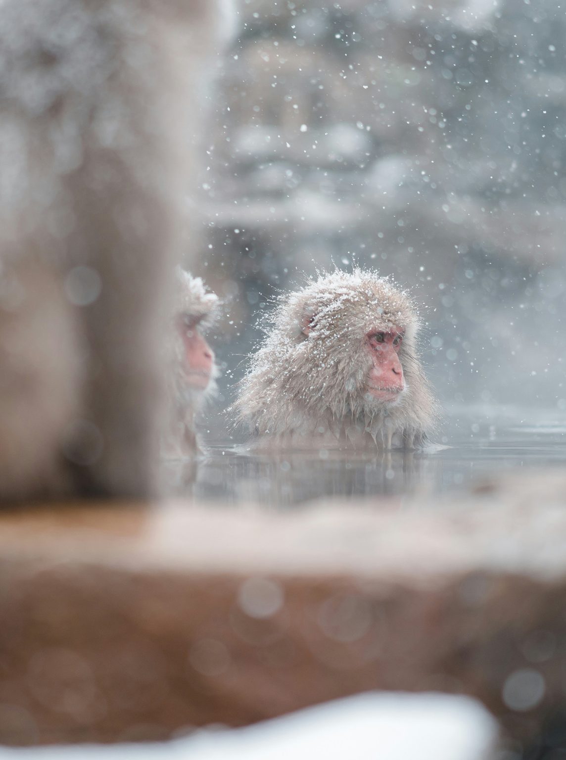 Qué hacer en Shibu Onsen: Baños termales cerca de Nagano